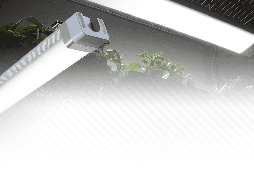 LED Grow Lights - Growlite