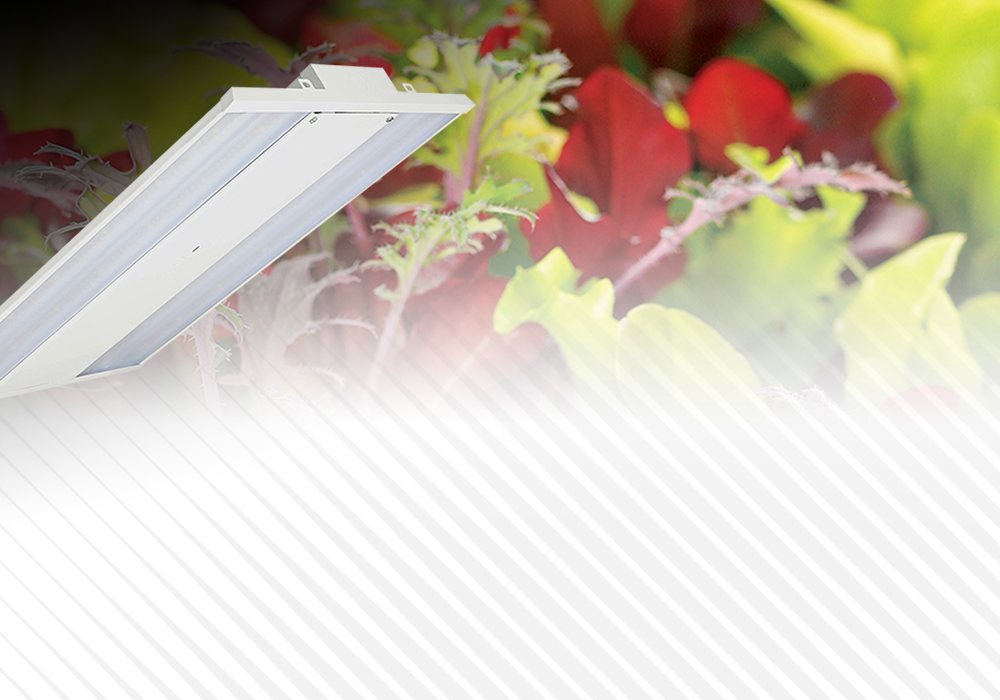 LED Grow Lights - Growlite